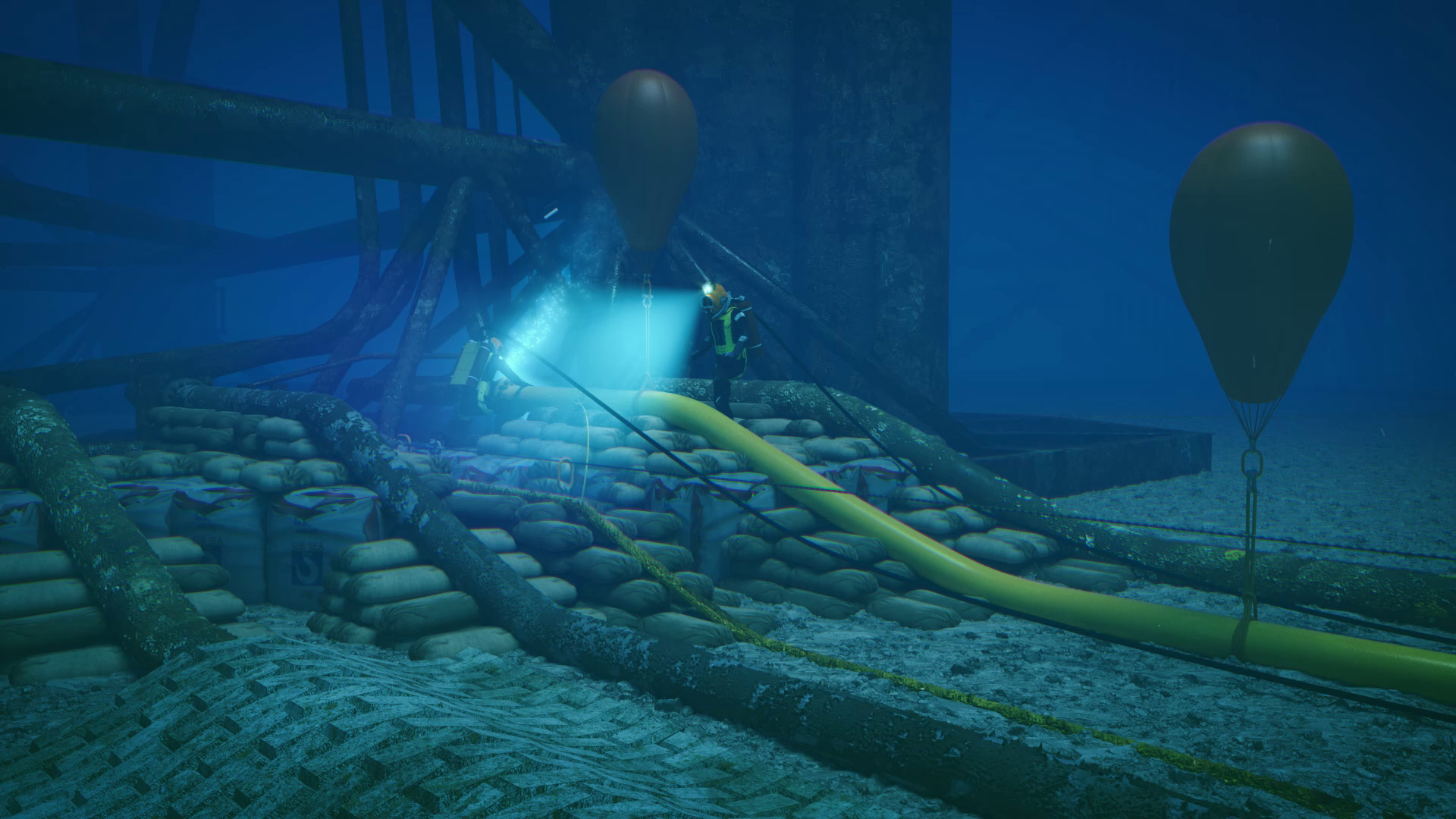 Diver and remote intervention checks – Perspective